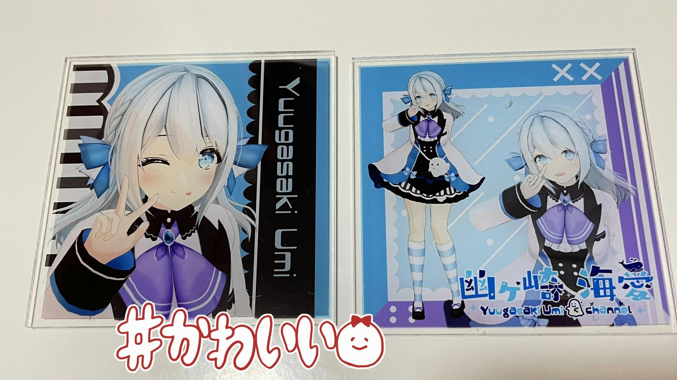 V_MANI vフォト販売