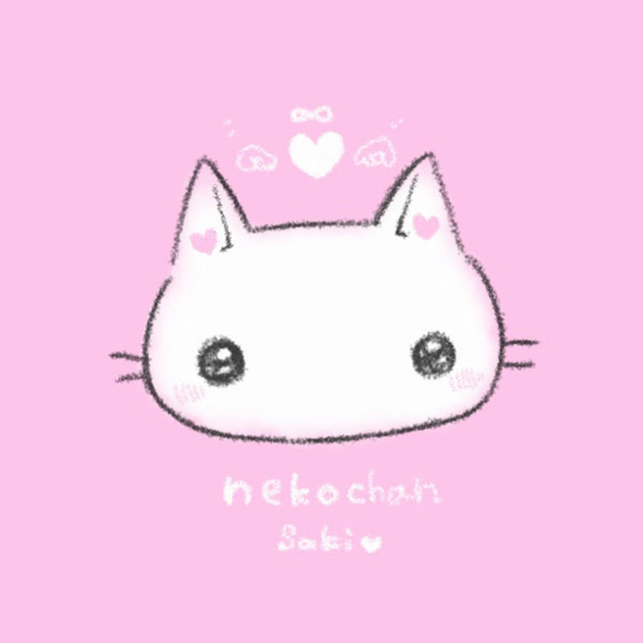 nekochan