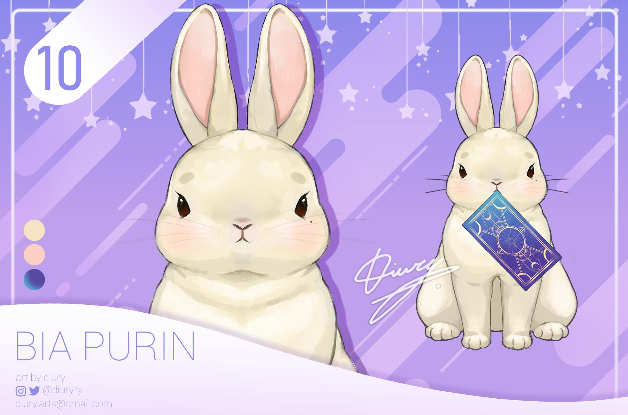 10- Bia bunny showcase
