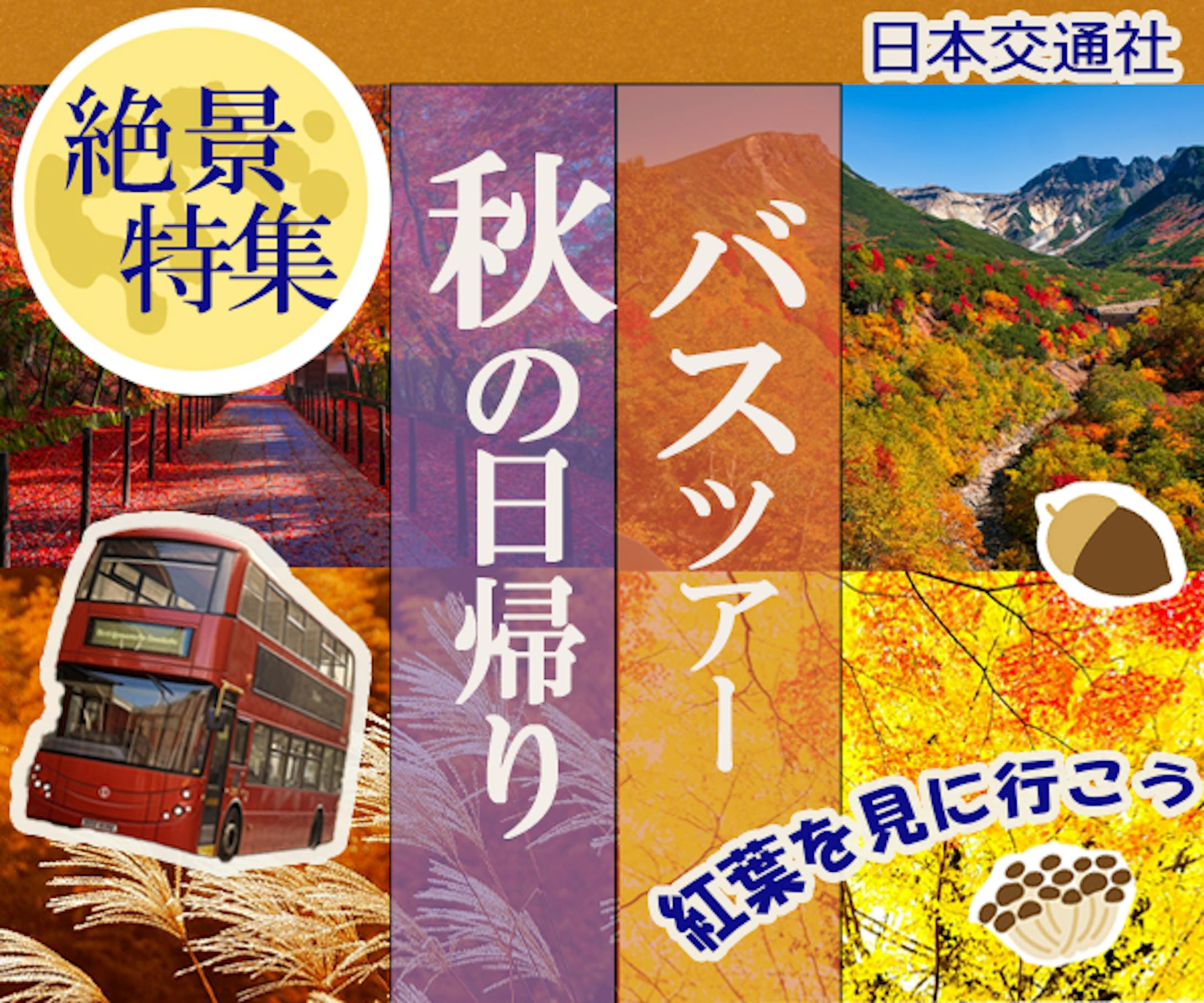 L7 2 作品 大澤直美