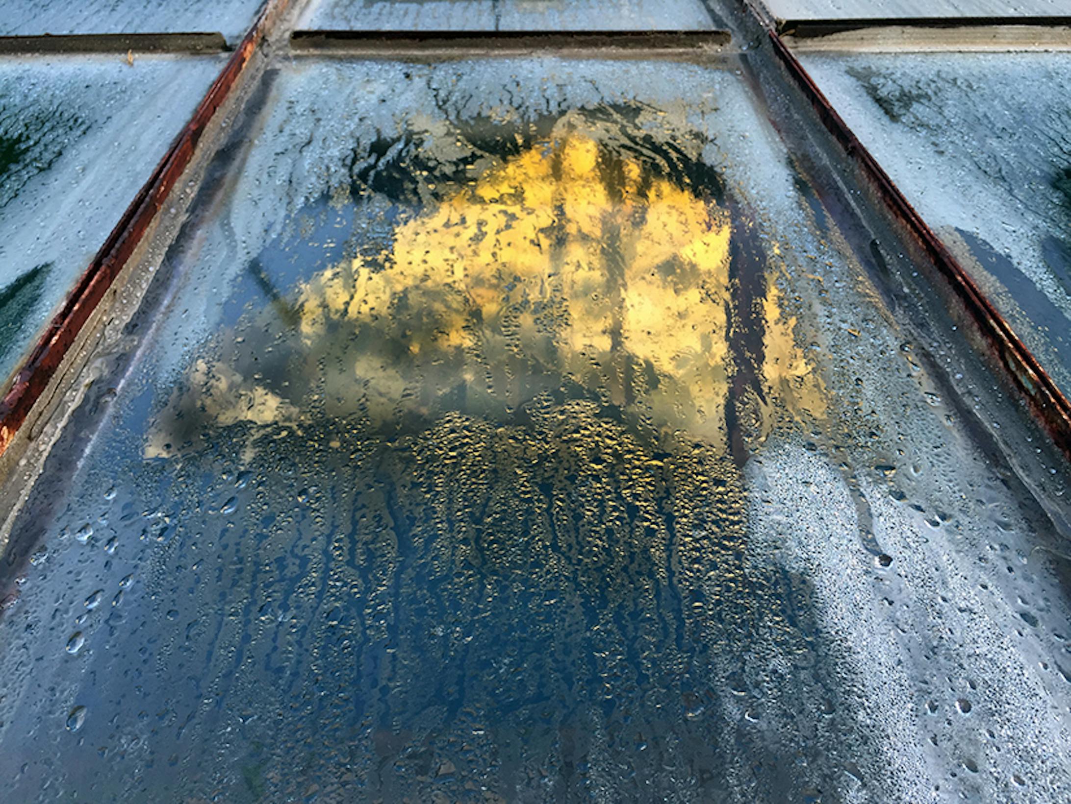 そして、遠くの声に輪唱する ｜ And,Sing a round in the distance voice