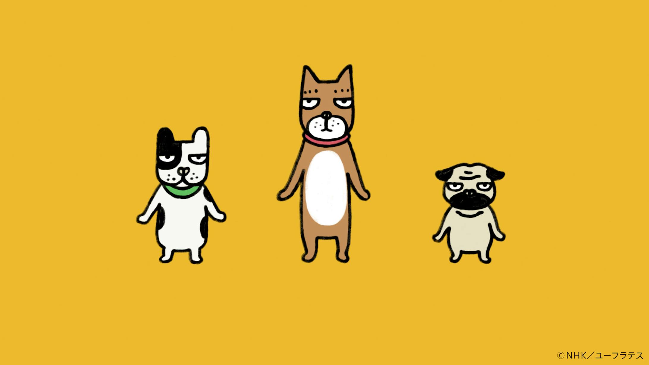 いぬあるあるある Eテレ「2355・0655」