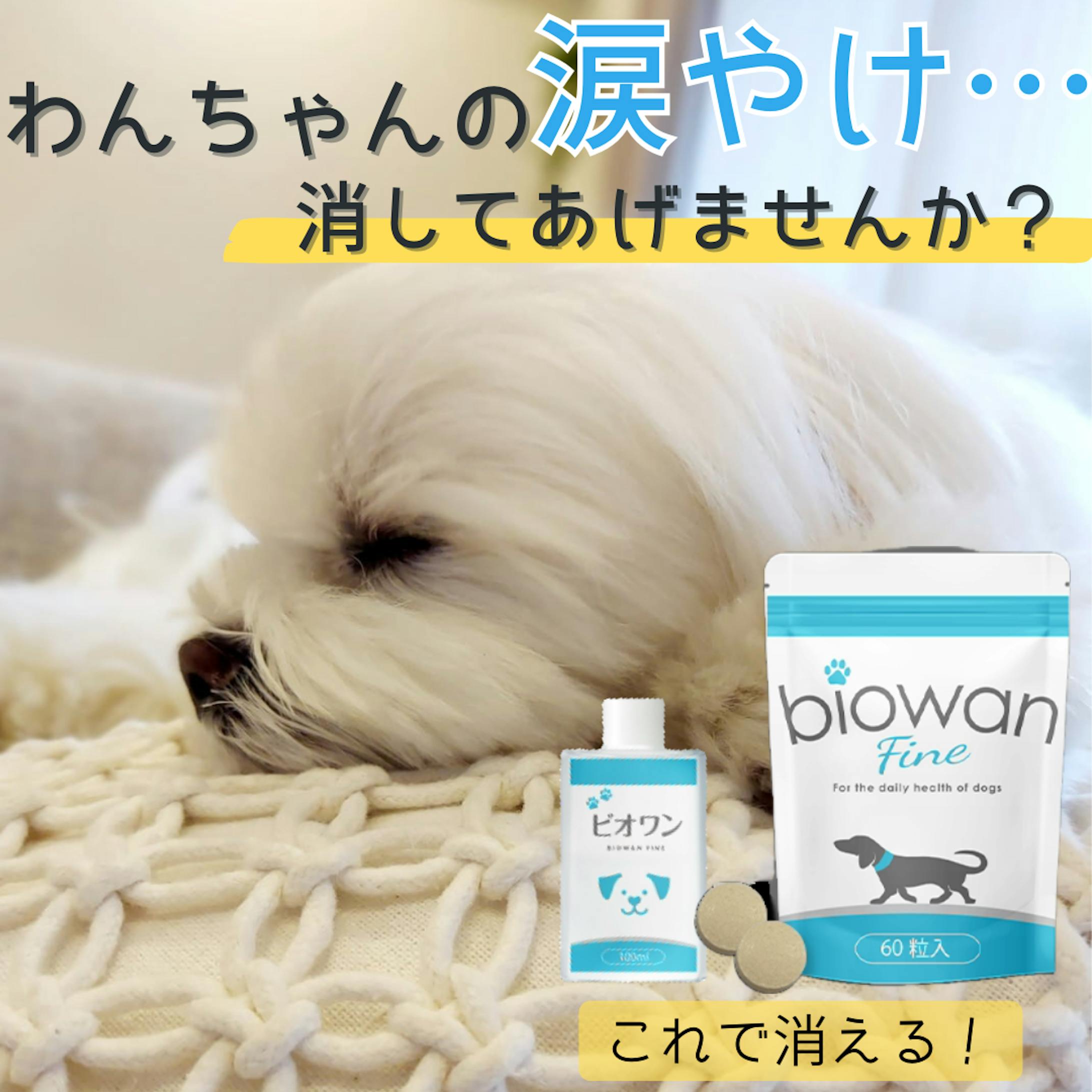 SNS広告のCR【biowan fine】
