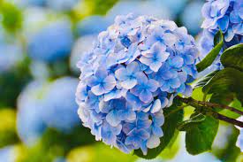 Top Software development company in Vietnam | Rabiloo Co.,Ltd