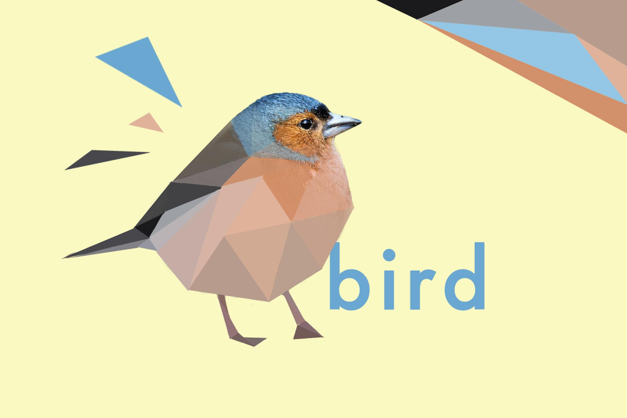 【Ps】polygon_bird