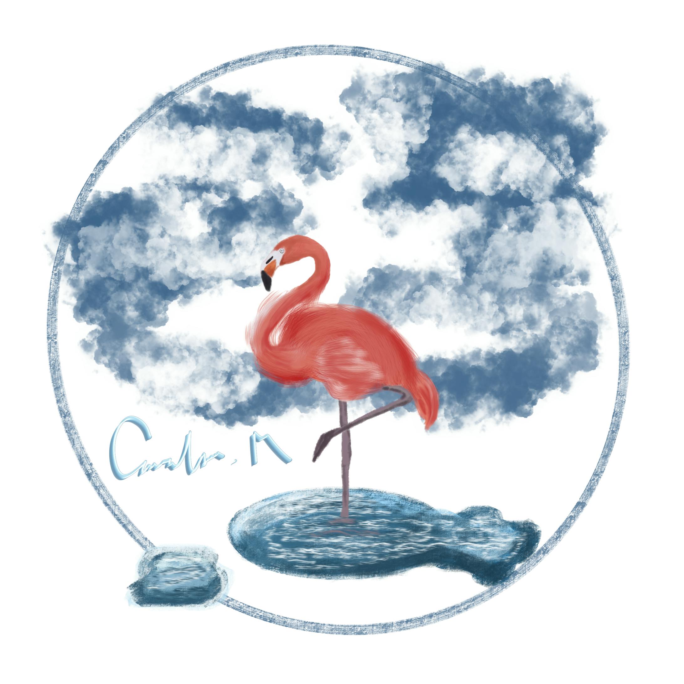 Zen flamingo