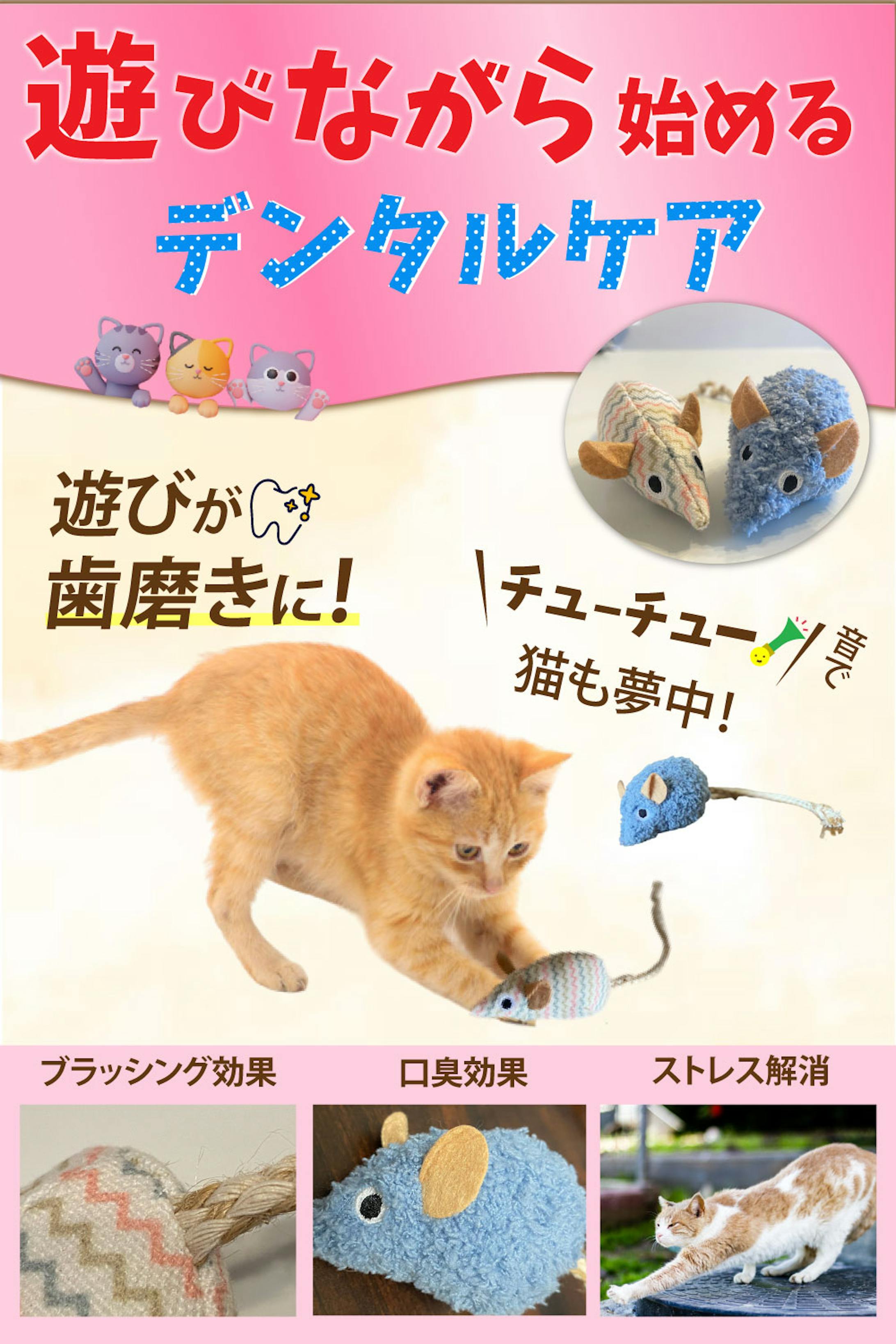 猫デンタルケア