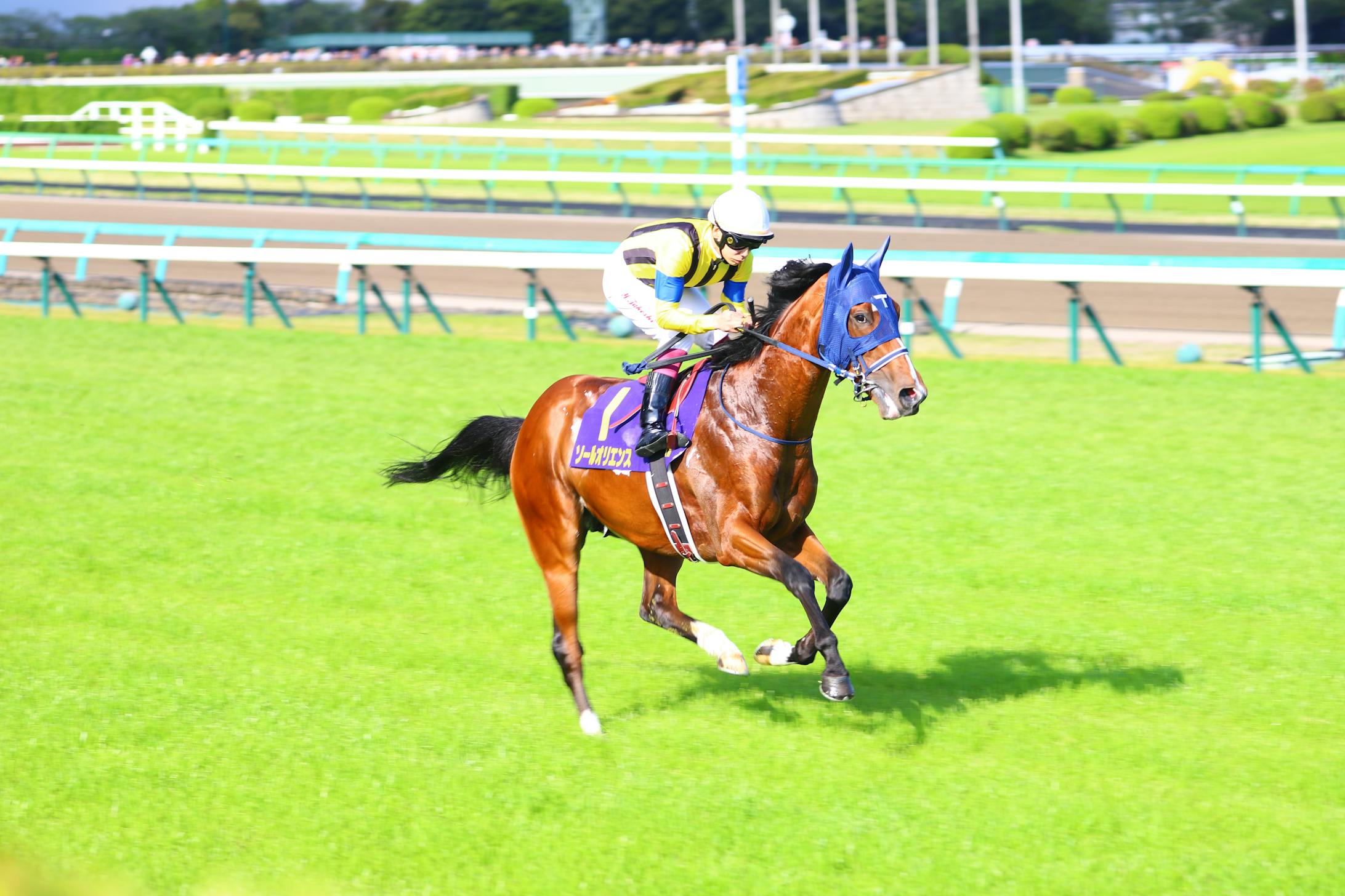 CE7A9DE1 0EED 4356 94FF 799072CB287F