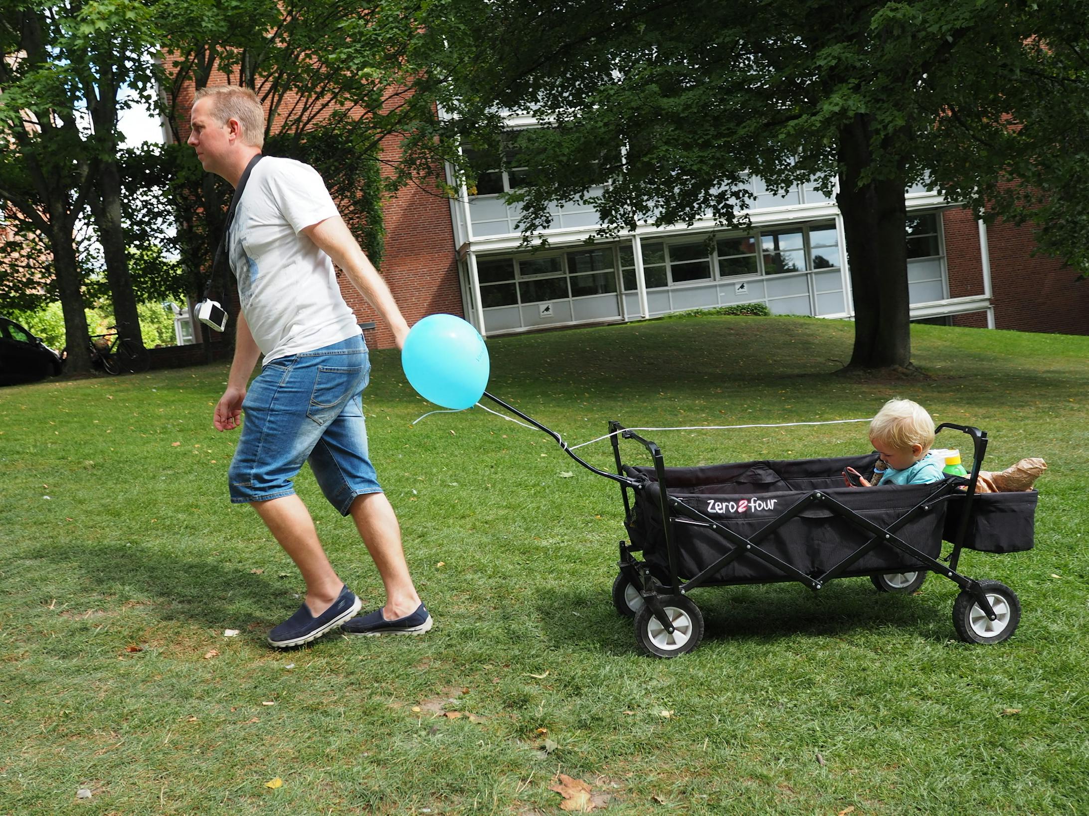 🇩🇰Denmark| 2017