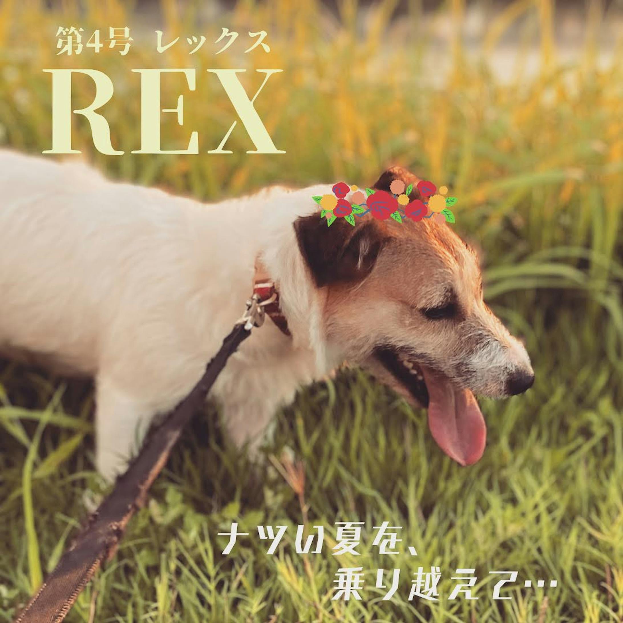 Canva/雑誌風デザイン（4）